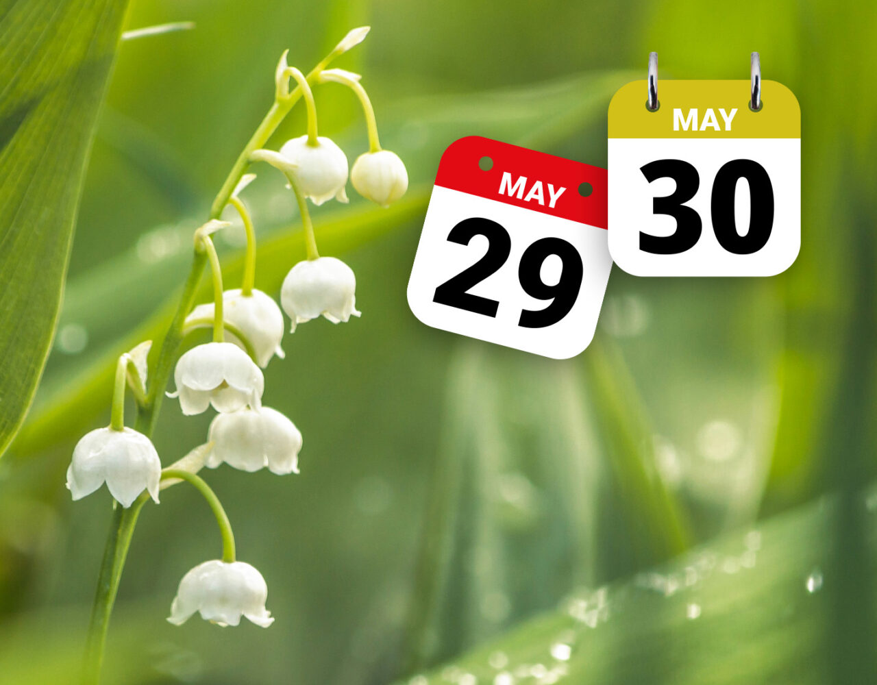 Design and simulation software for renewable energy | Valentin Software