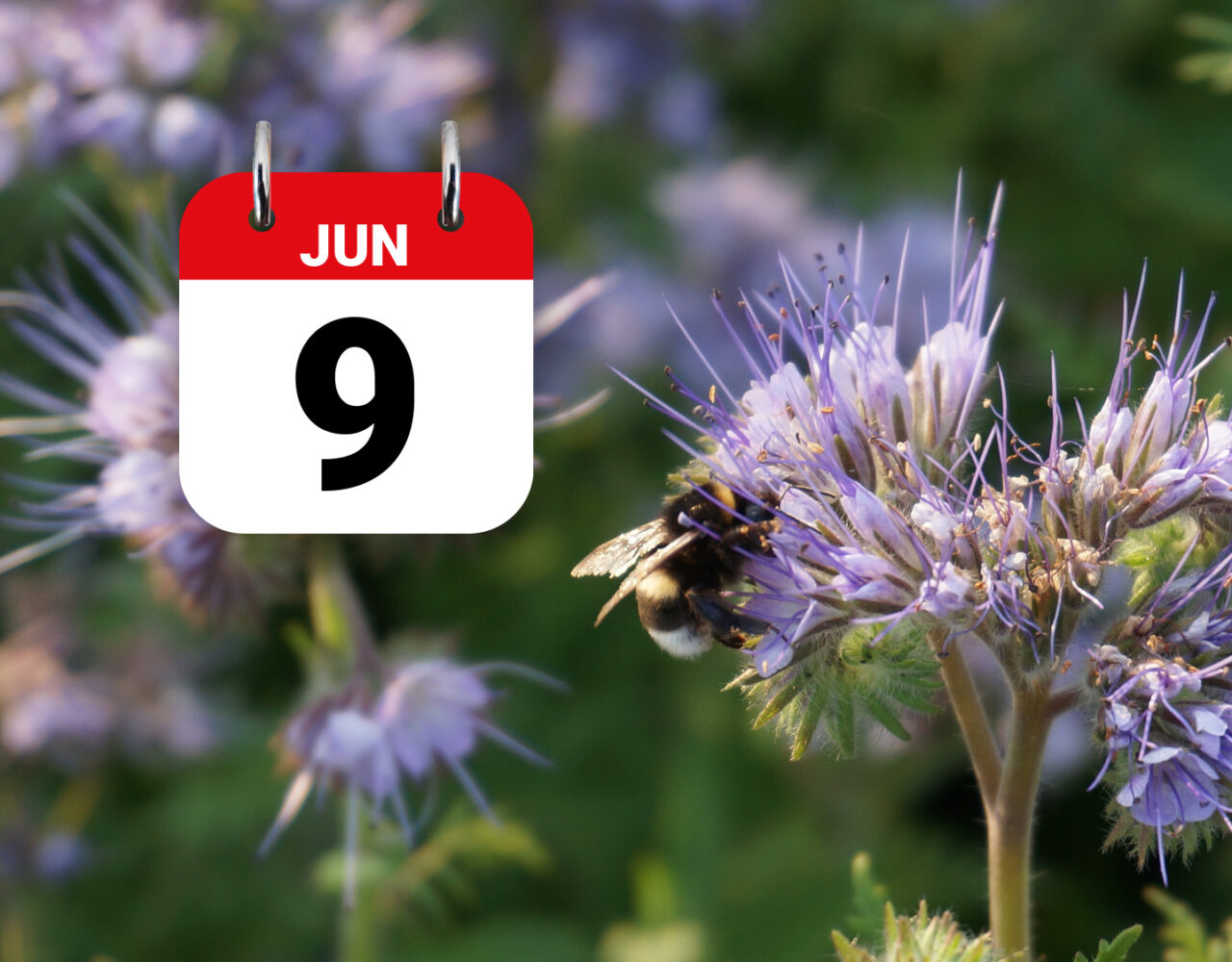 Design and simulation software for renewable energy | Valentin Software